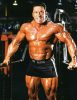 Claude Groulx - Greatest Physiques