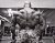 Stan Efferding - Greatest Physiques