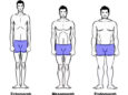 Somatotypes: Knowing Your Body Type & Debunking The Myth - Greatest ...