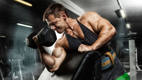 7 Rules of Successful Clean Bulking You Should Try Today - Greatest ...