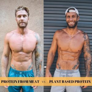 Matt Fox - Greatest Physiques