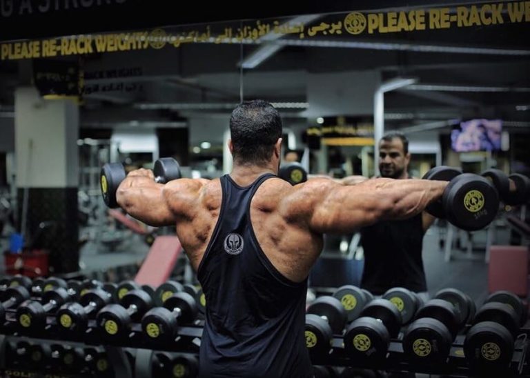 Ahmed Elsadany - Greatest Physiques